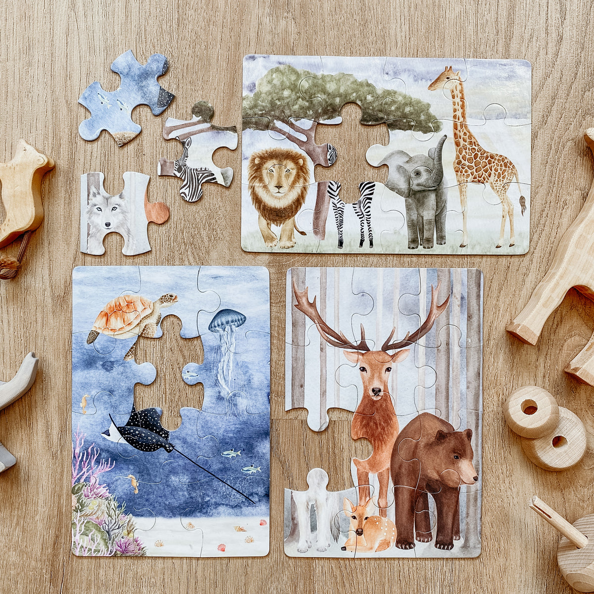 SALE – Jo Collier Designs