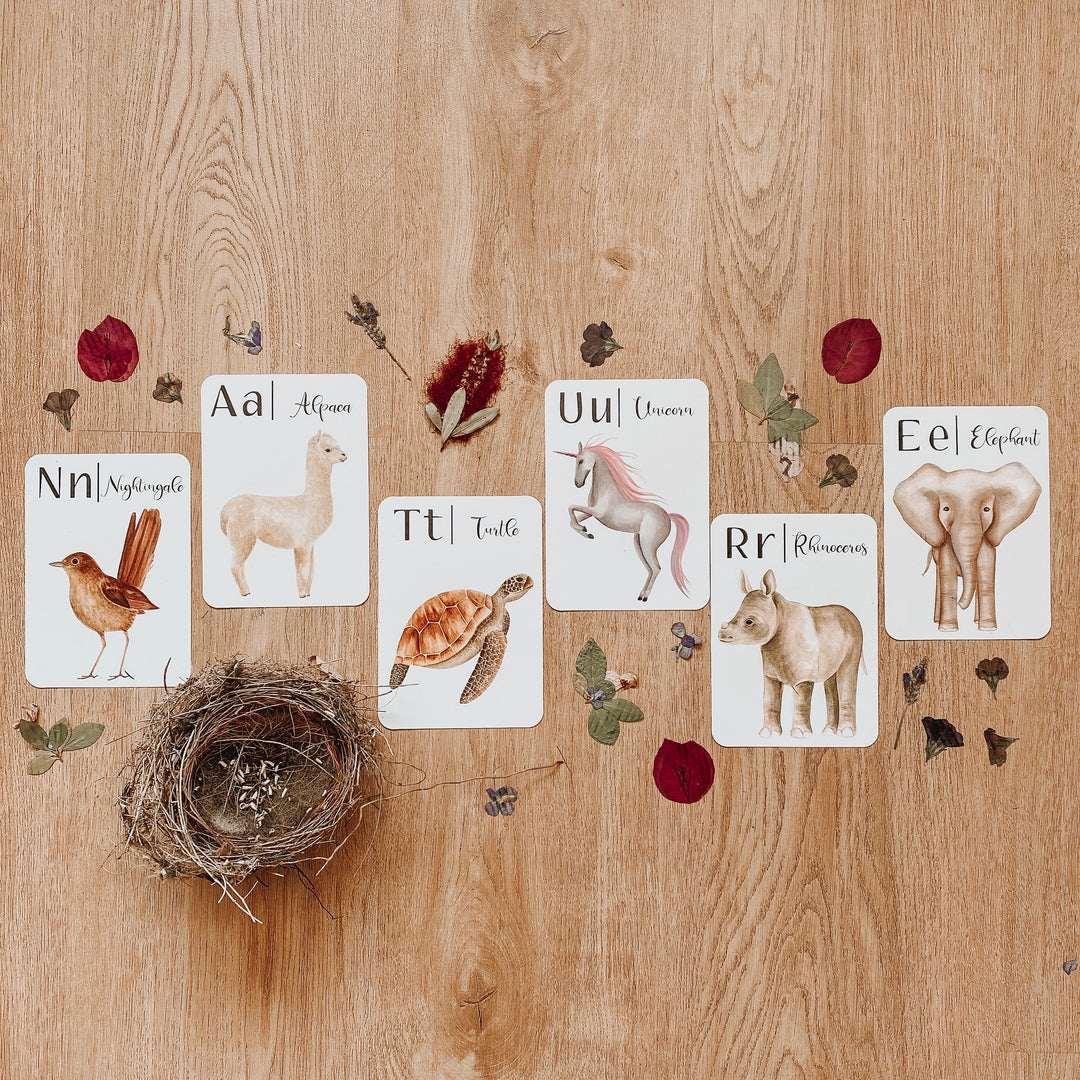 "Nature's ABC" Flashcards – Jo Collier Designs