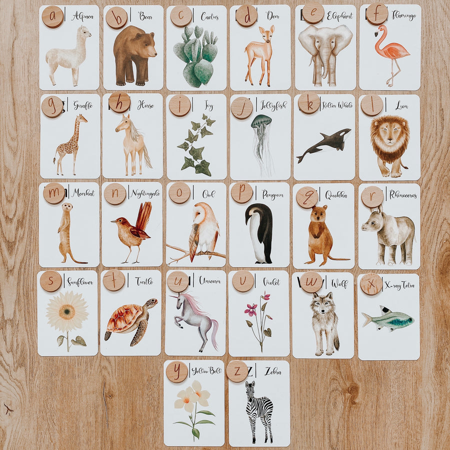 "Nature's ABC" Flashcards – Jo Collier Designs